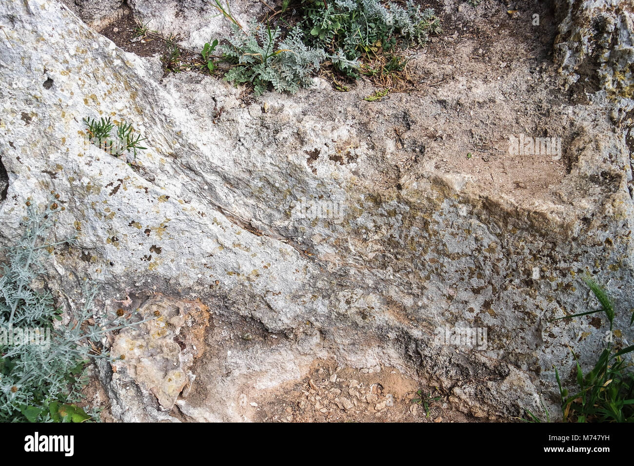 Roccia texture hi-res stock photography and images - Alamy