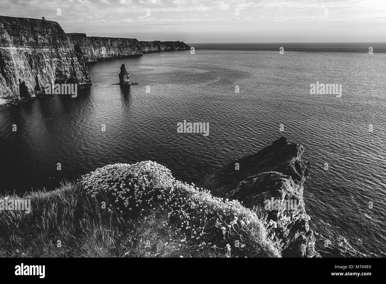 Black and white picture of the world famous cliffs of moher in county ...