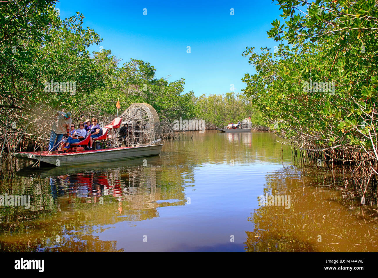 People aboard an airboat in the mangrove swamp around Everglades City ...