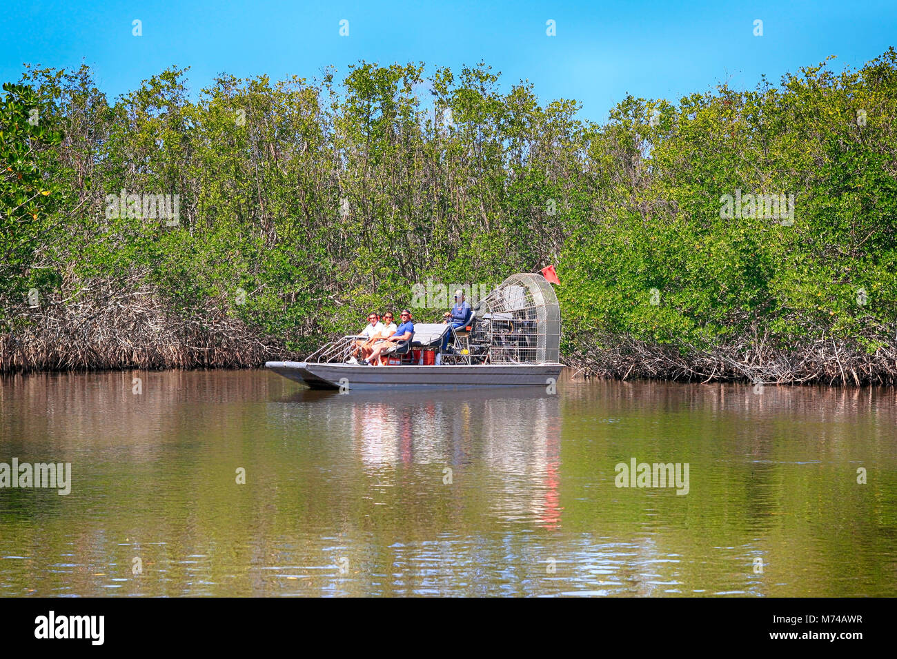 People aboard an airboat in the mangrove swamp around Everglades City ...
