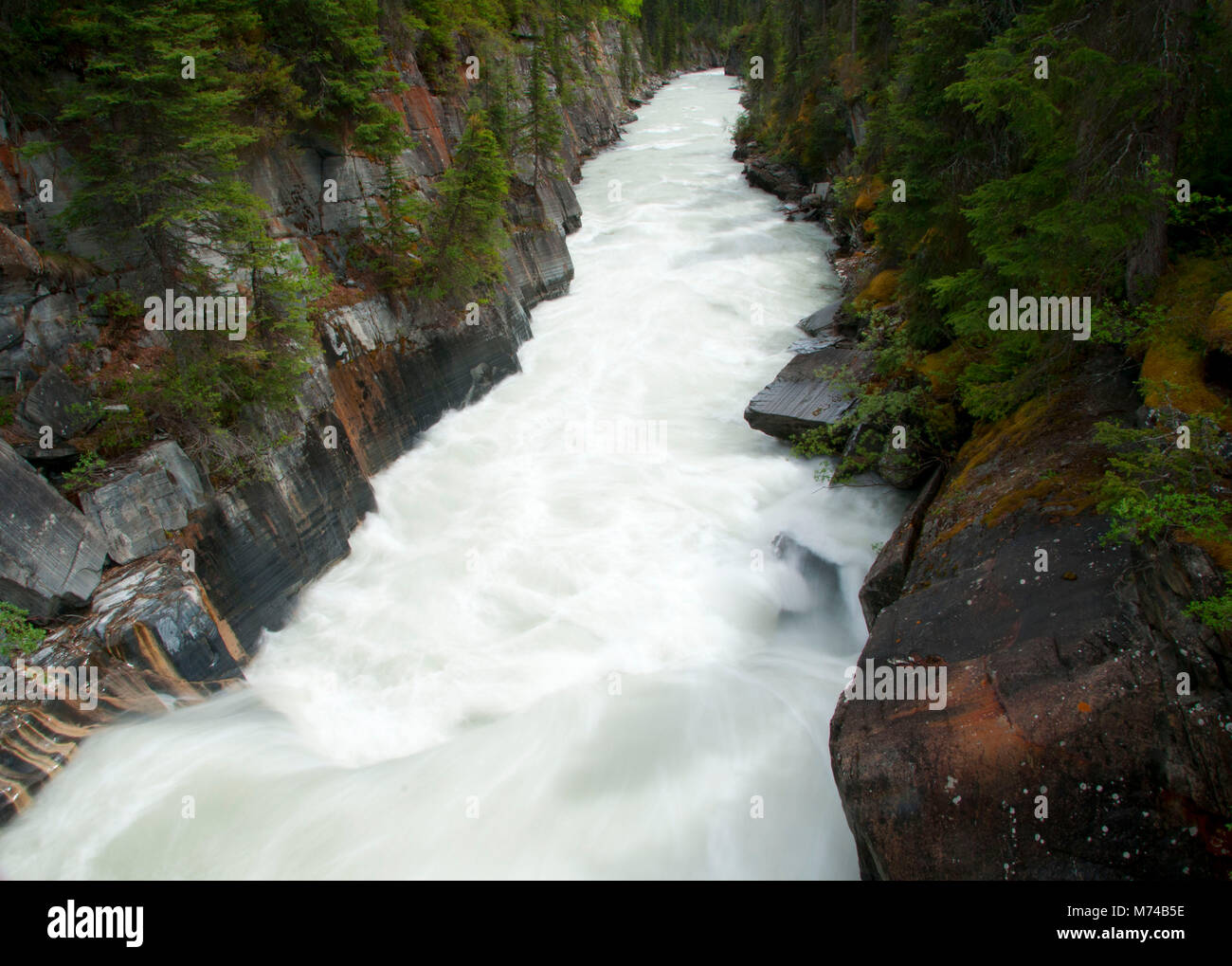 Vermillion River below Numa Falls, Kootenay National Park, British ...