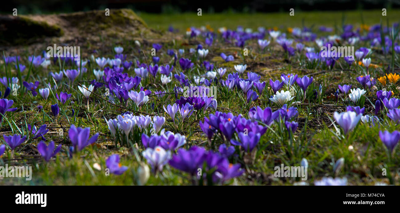 Spring in germany hi-res stock photography and images - Alamy