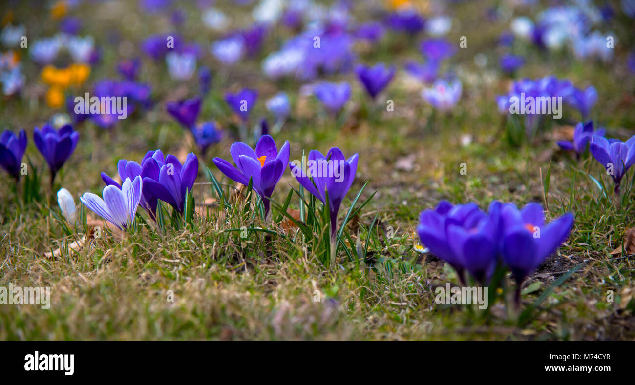 Spring in germany hi-res stock photography and images - Alamy