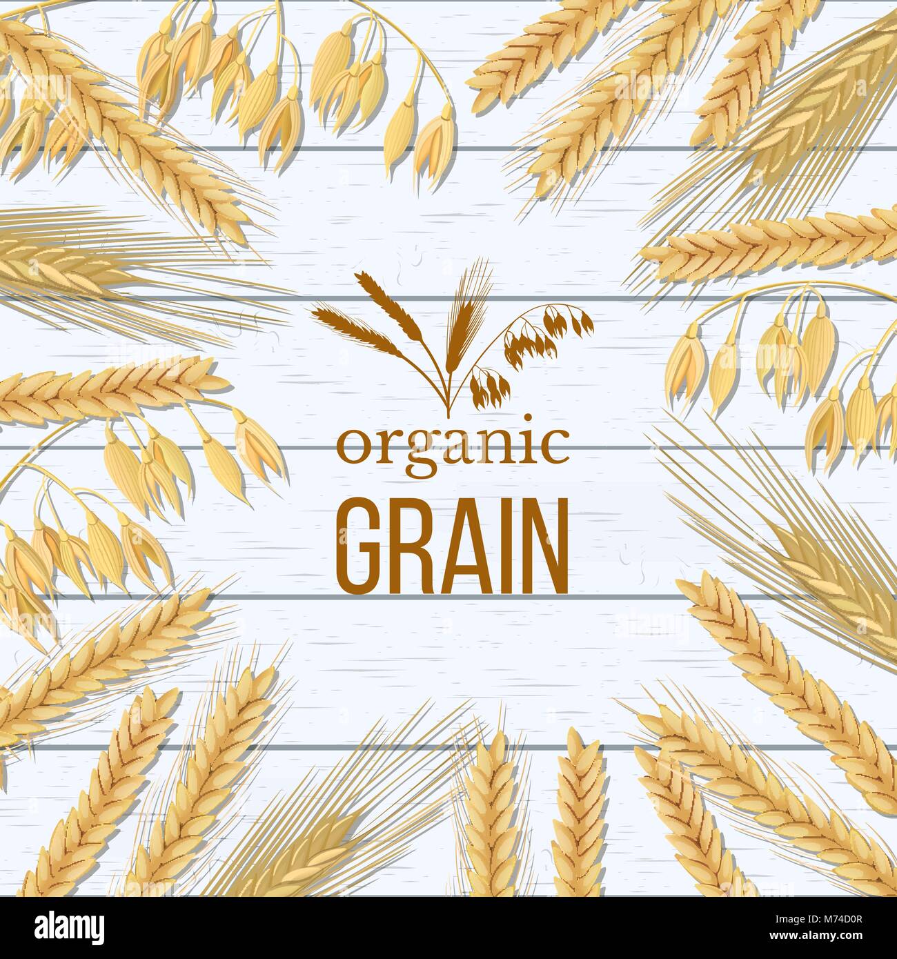Wheat spikelets on background Stock Vector Images - Alamy