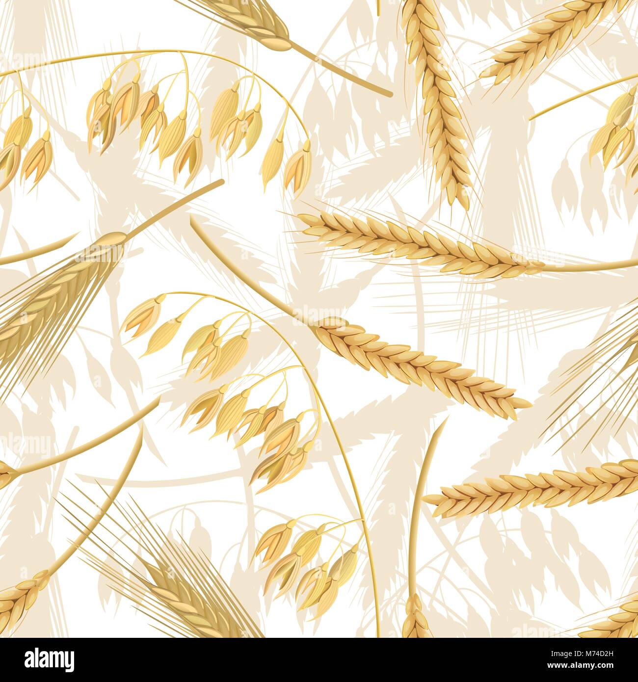 Wheat, barley, oat and rye seamless pattern. Four cereals spikelets ...