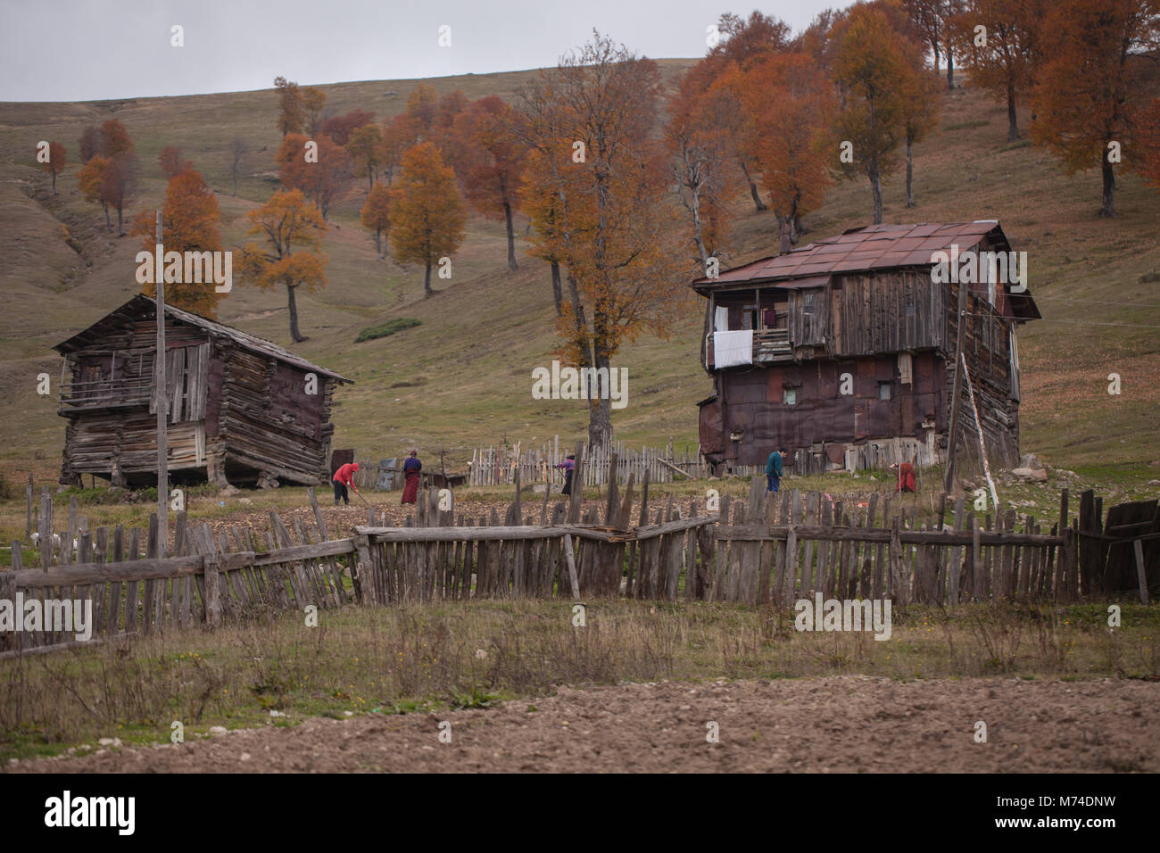 old wooden houses in a mountain, Georgian village, poor people live ...