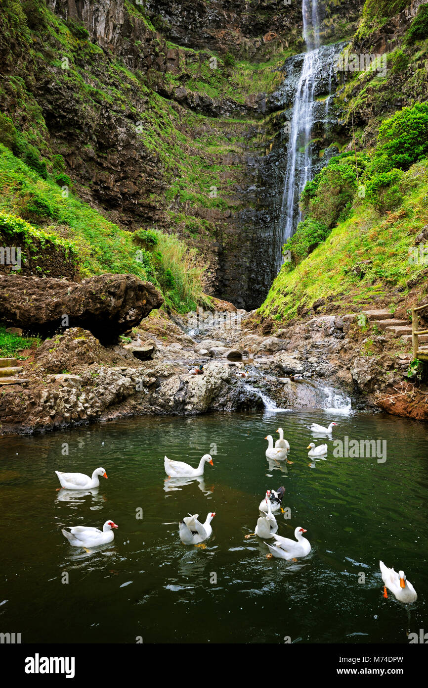 Cascata do Aveiro (waterfall). Maia, Santa Maria island. Azores ...