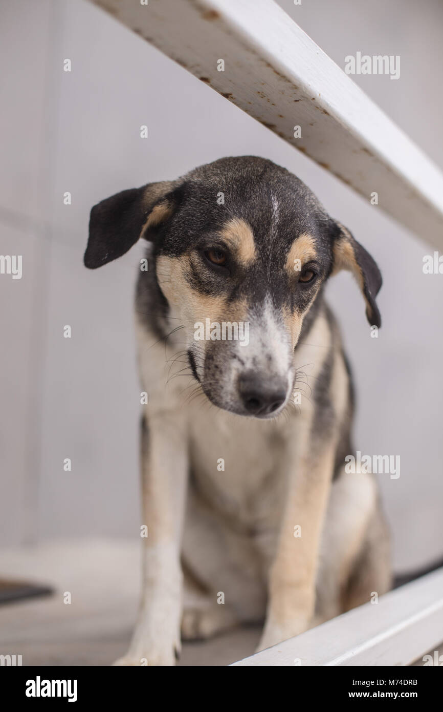 Streel road hi-res stock photography and images - Alamy