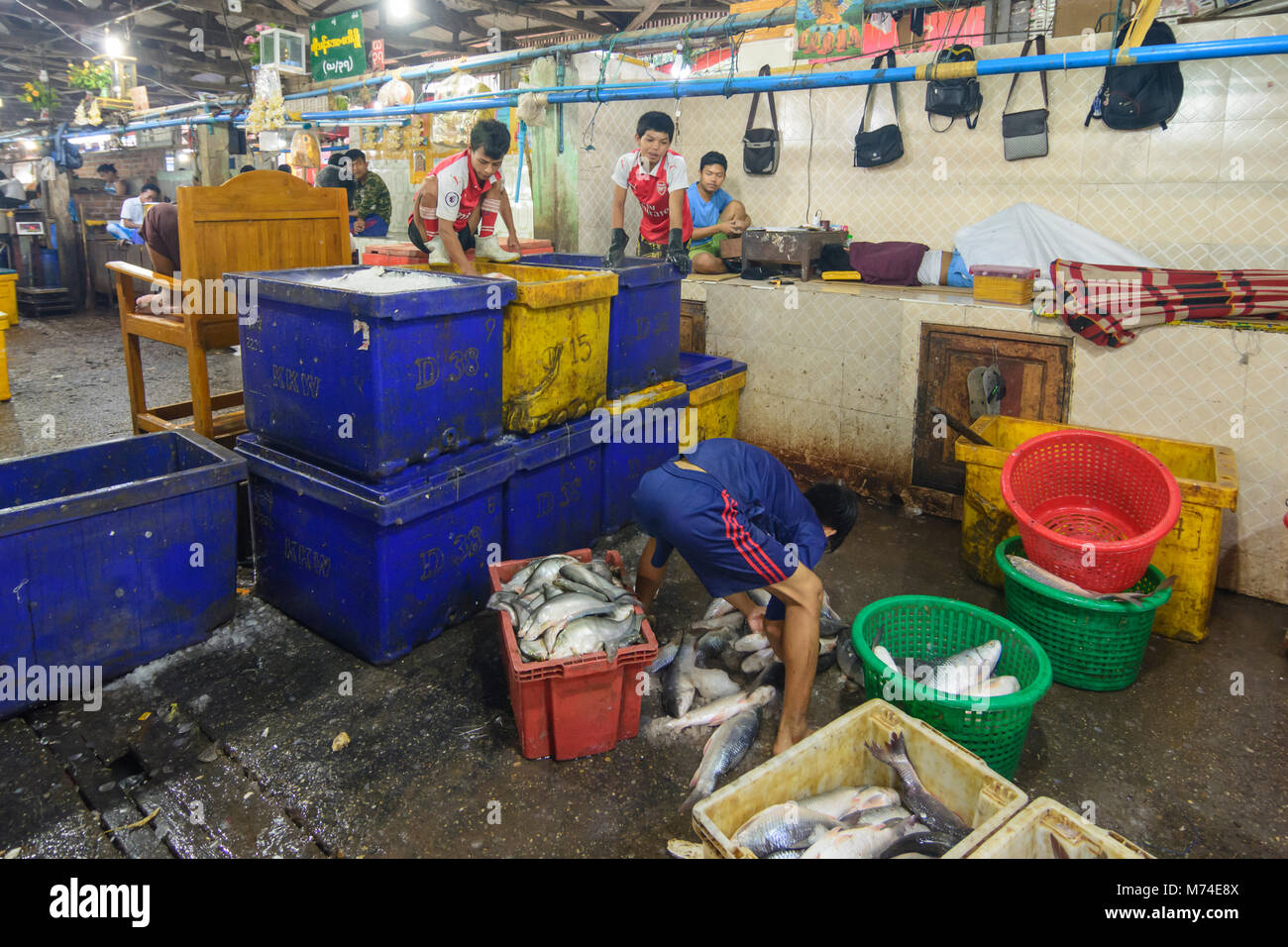 Yangon (Rangoon): San Pya Fish Market, , Yangon Region, Myanmar (Burma Stock Photo - Alamy