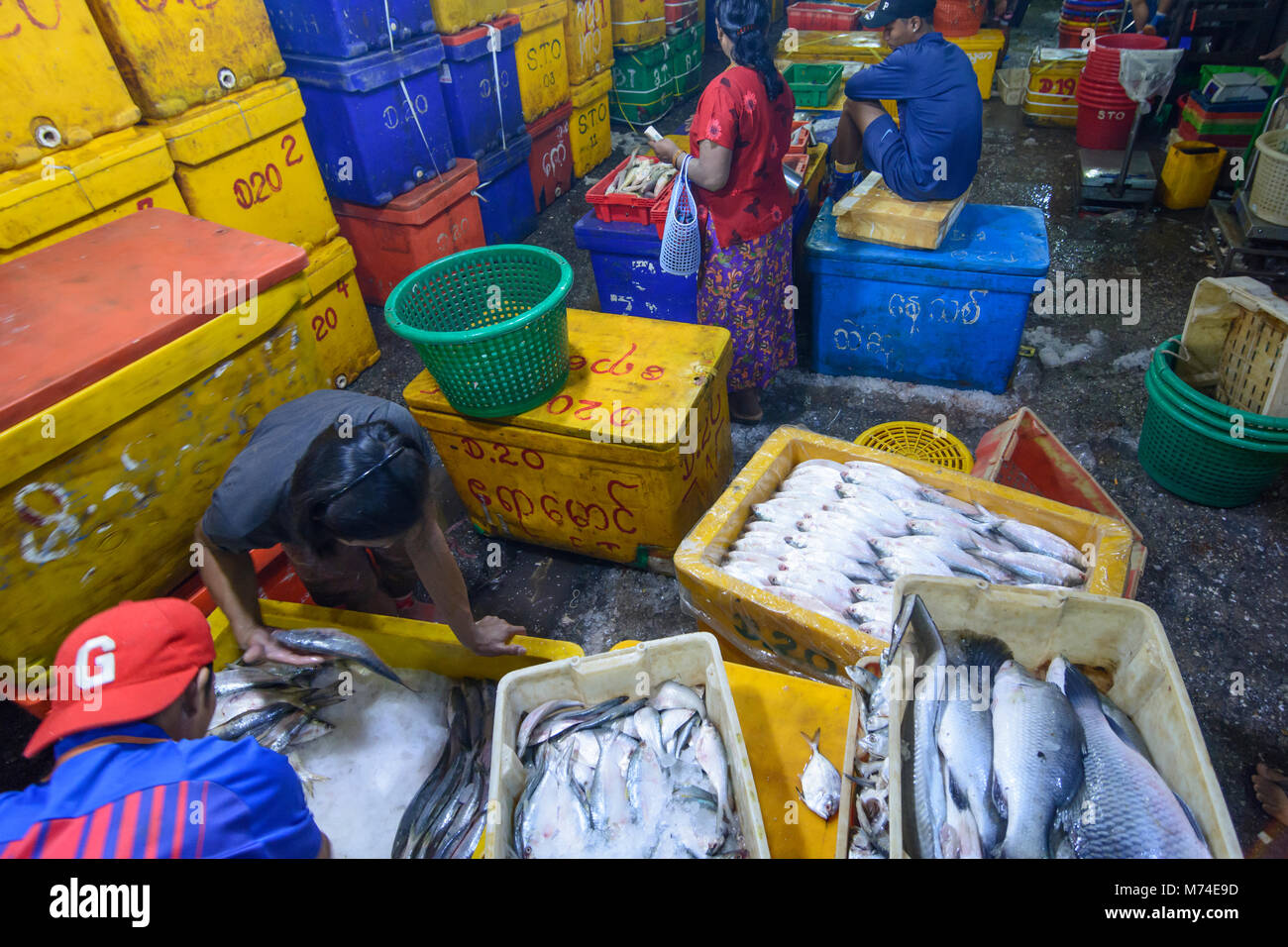 Yangon (Rangoon): San Pya Fish Market, , Yangon Region, Myanmar (Burma ...