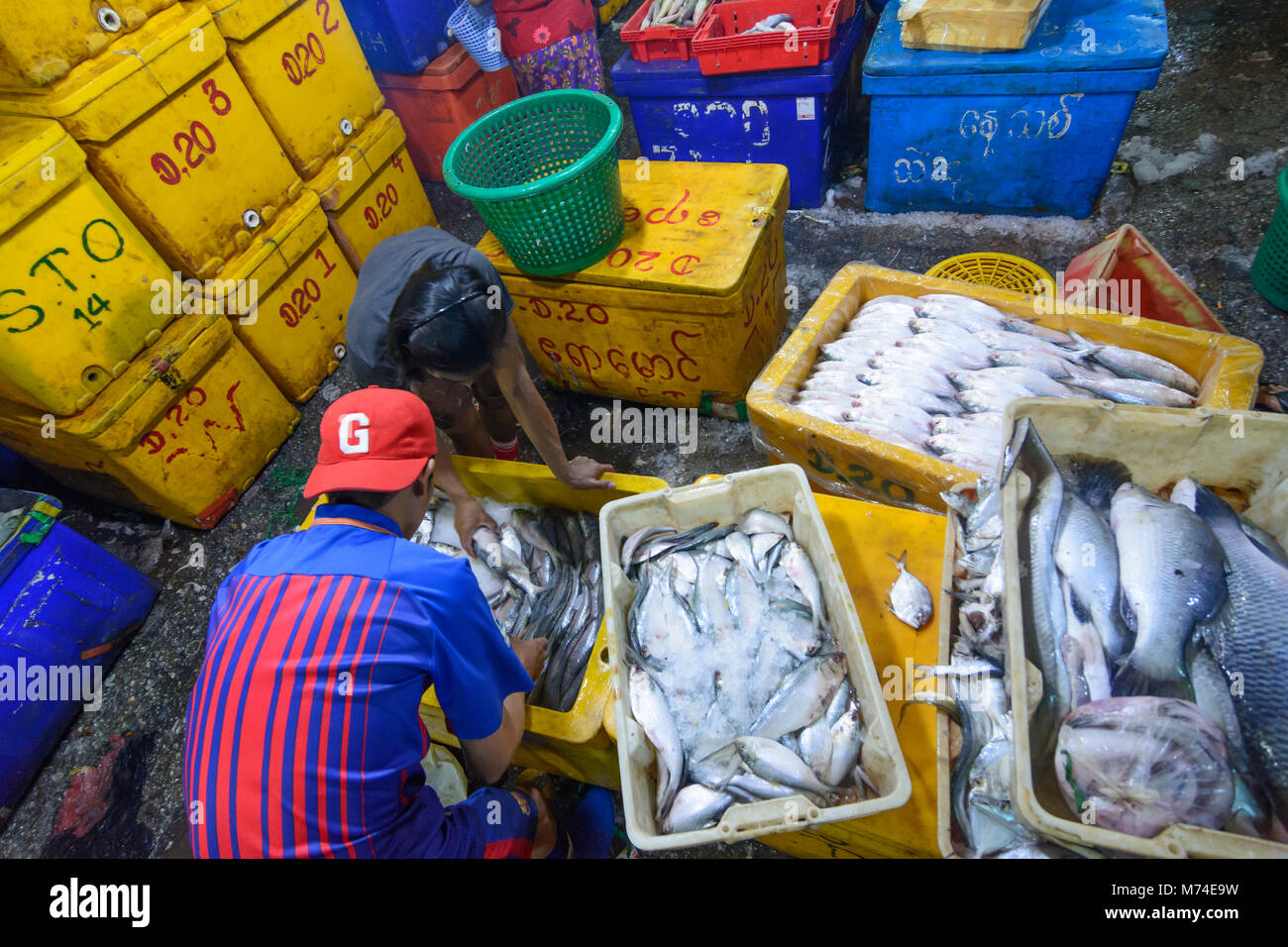 Yangon (Rangoon): San Pya Fish Market, , Yangon Region, Myanmar (Burma ...