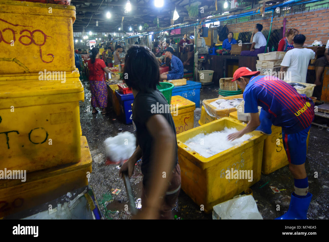 Yangon (Rangoon): San Pya Fish Market: boxes fish ice, , Yangon Region ...