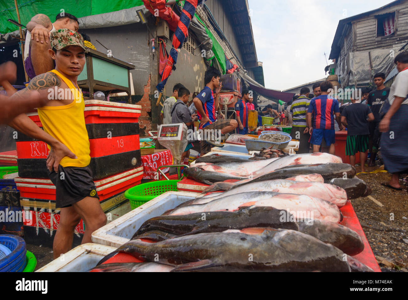 Yangon (Rangoon): San Pya Fish Market, , Yangon Region, Myanmar (Burma Stock Photo - Alamy