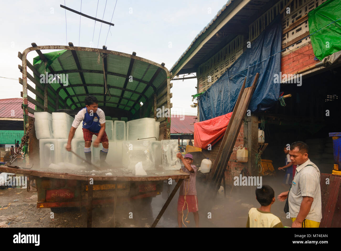Yangon (Rangoon): San Pya Fish Market: ice transport for fish boxes ...