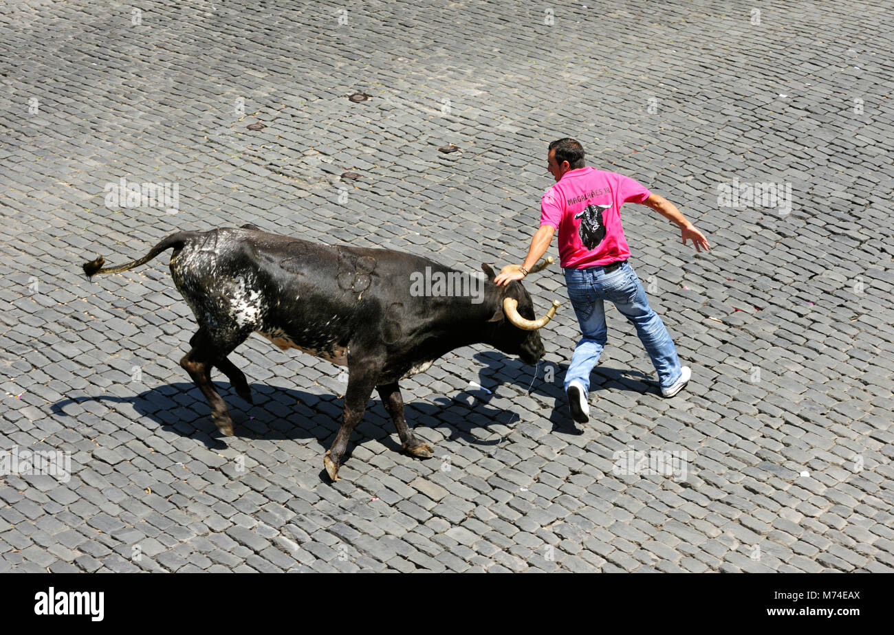 Bullfighting in portugal hi-res stock photography and images - Alamy