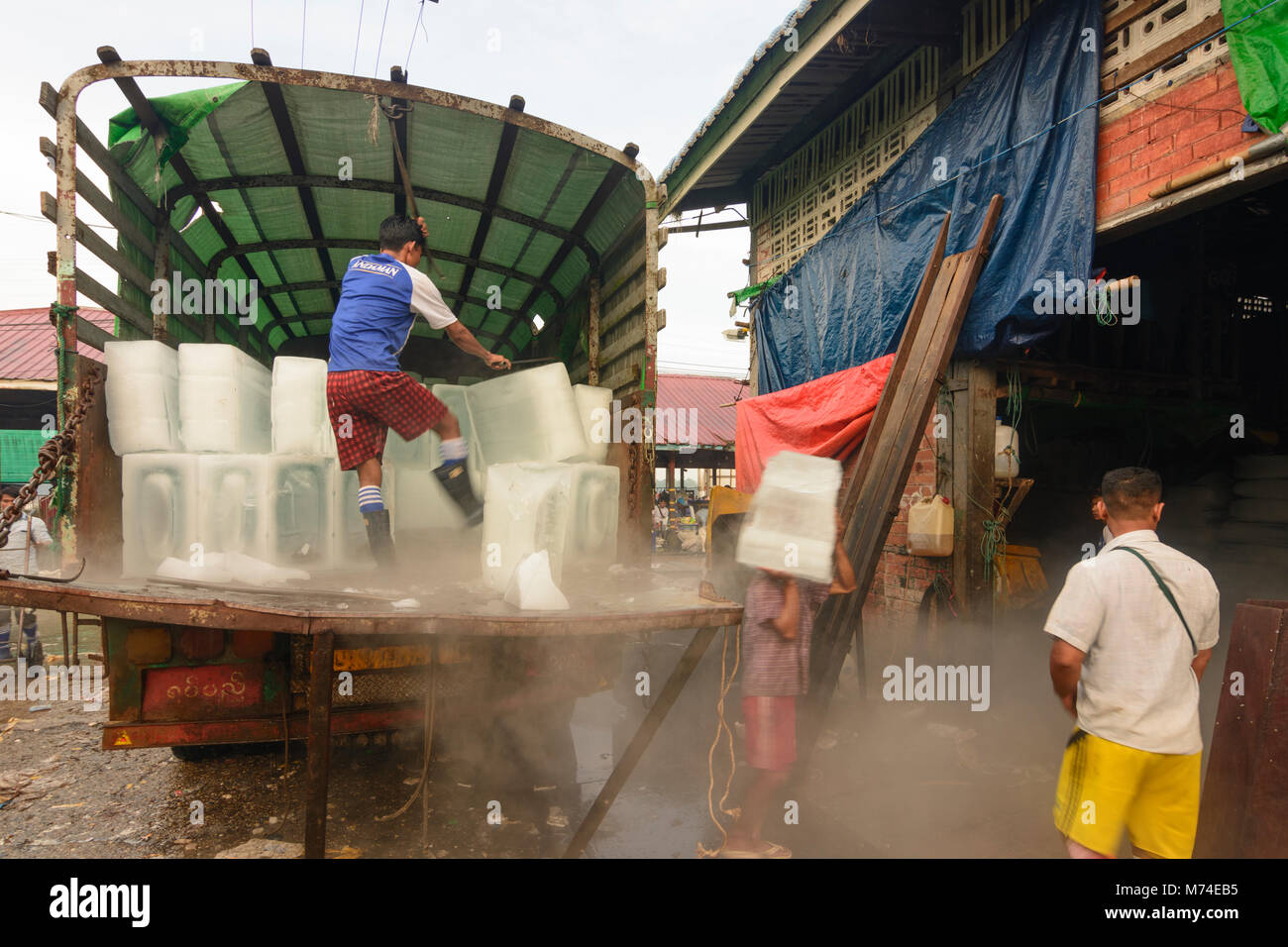 Yangon (Rangoon): San Pya Fish Market: ice transport for fish boxes ...