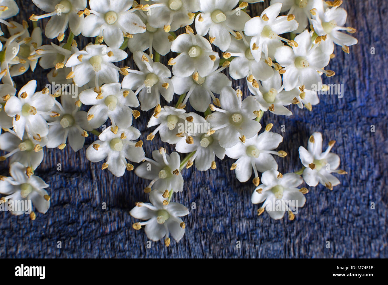small white flowers on rustic wood background Stock Photo - Alamy
