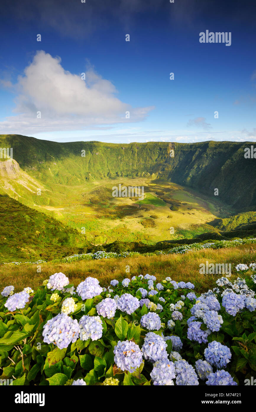 The Caldeira, the big volcanic crater of Faial. Azores islands ...