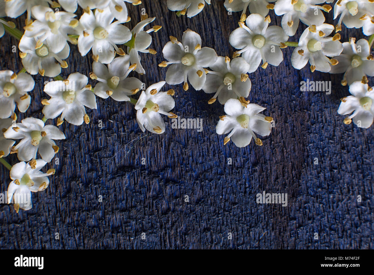 small white flowers on rustic wood background Stock Photo - Alamy