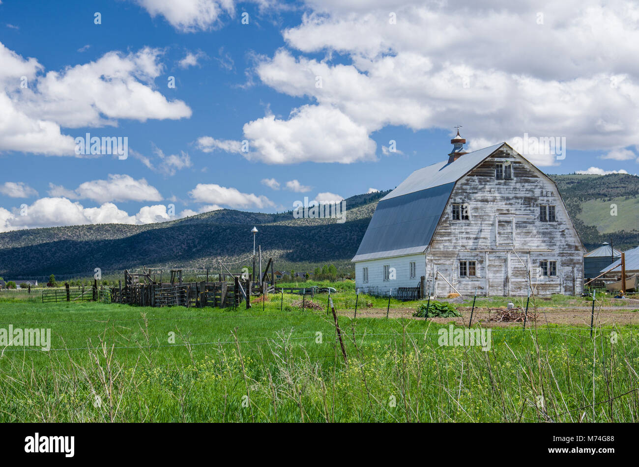 WHite painted barn and green pasture on a farm in eastern Oregon Stock ...