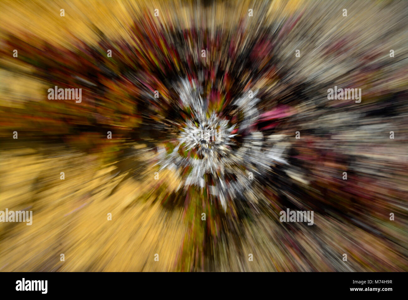 Zoom screen hi-res stock photography and images - Alamy