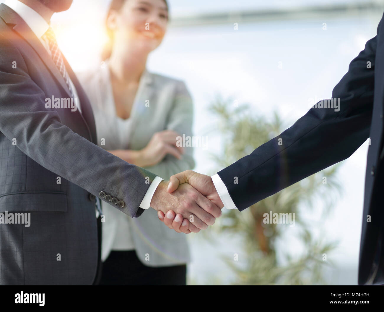 Two Business men shaking hands Stock Photo - Alamy