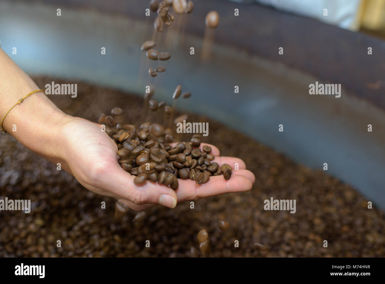 Check beans hi-res stock photography and images - Alamy