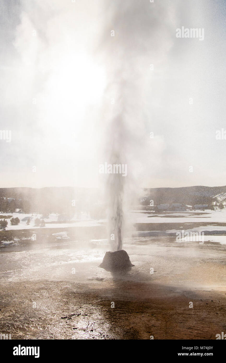 Beehive Geyser eruption (2) 21717 Stock Photo - Alamy
