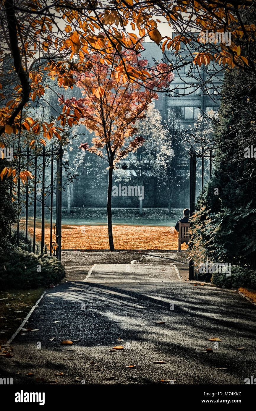 Man sitting on a park bench Stock Photo - Alamy