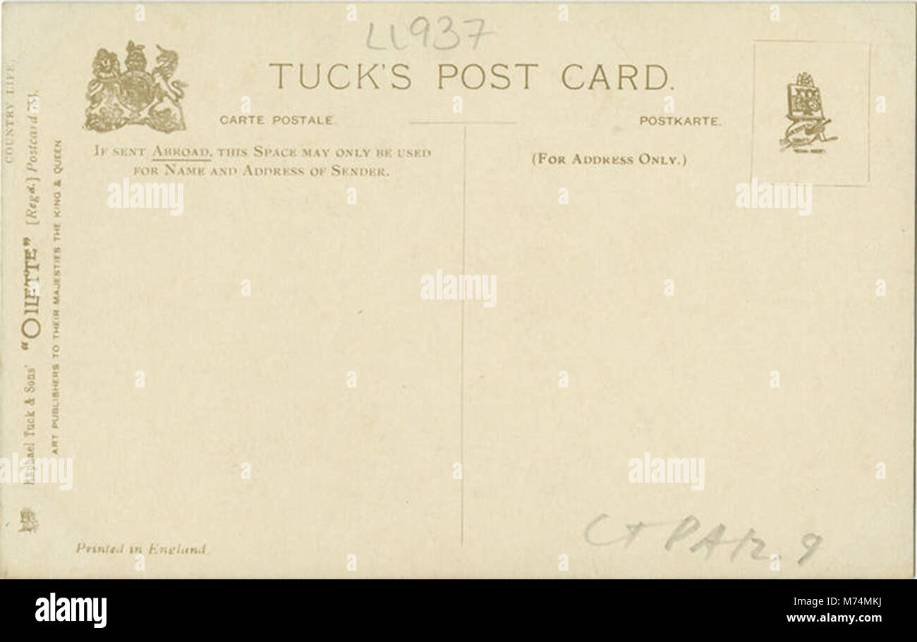 Scene depicting activity gathering hi-res stock photography and images ...