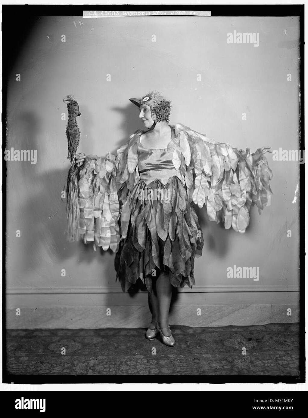 John Gaynor High Resolution Stock Photography and Images - Alamy