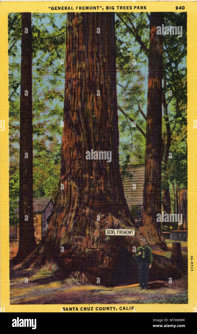 A photograph of General Fremont Big Trees Park, known for its giant ...