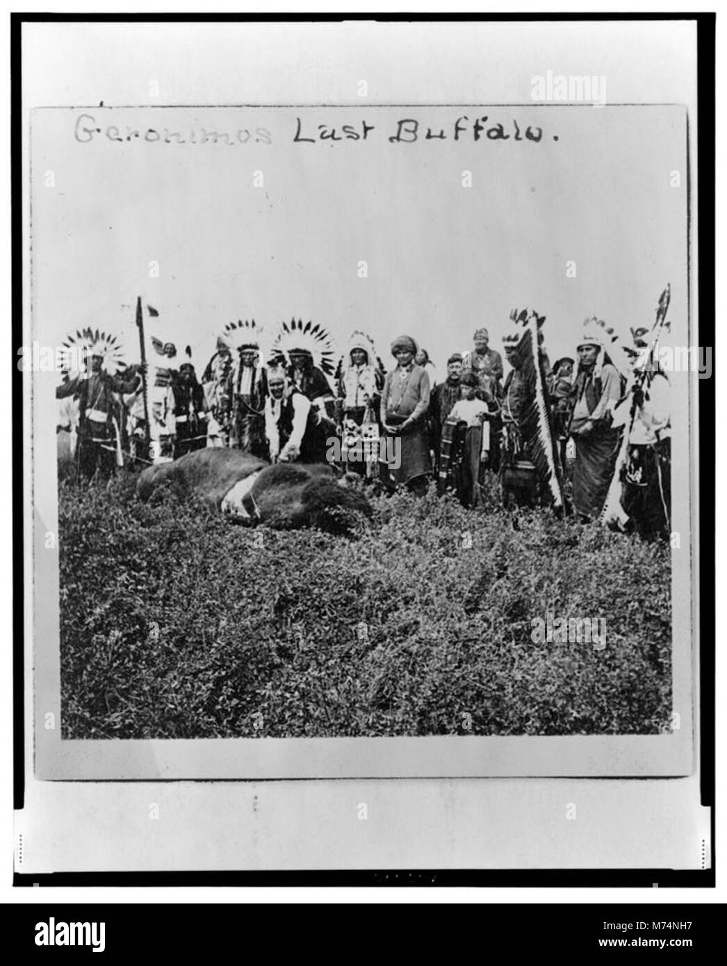 A photograph capturing the moment of Geronimo’s last buffalo hunt ...