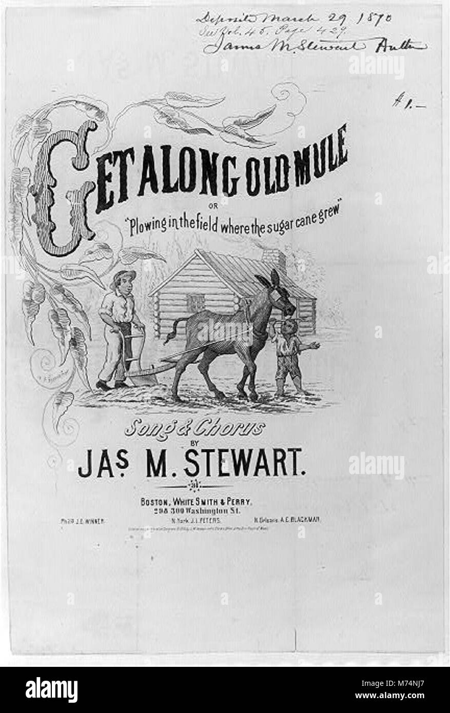 Old black mule hi-res stock photography and images - Alamy