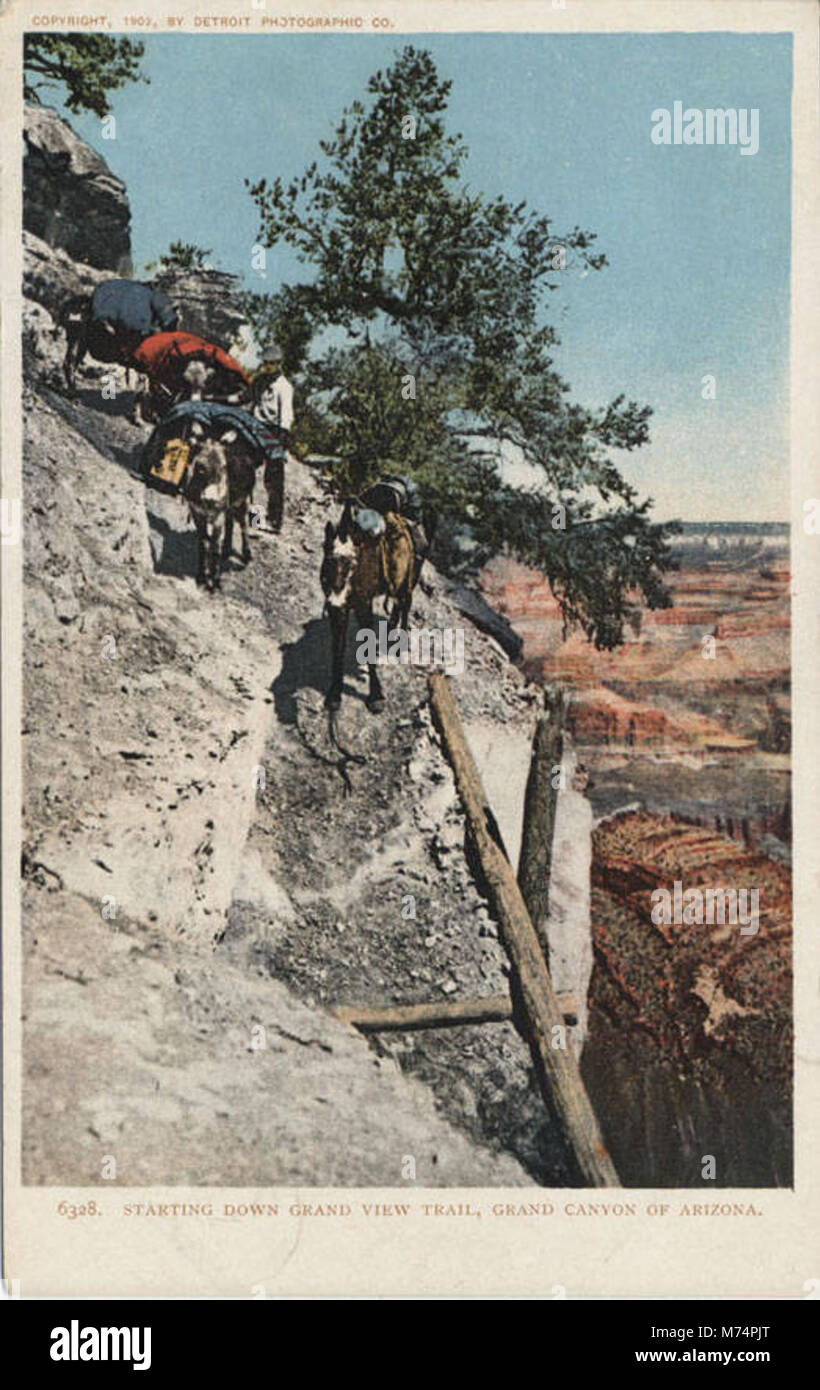 A scene showing the beginning of the Grand View Trail in the Grand ...