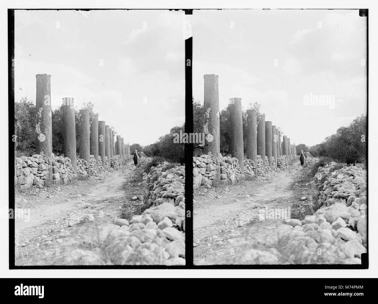A photograph depicting the grand colonnade of Samaria, an ancient city ...