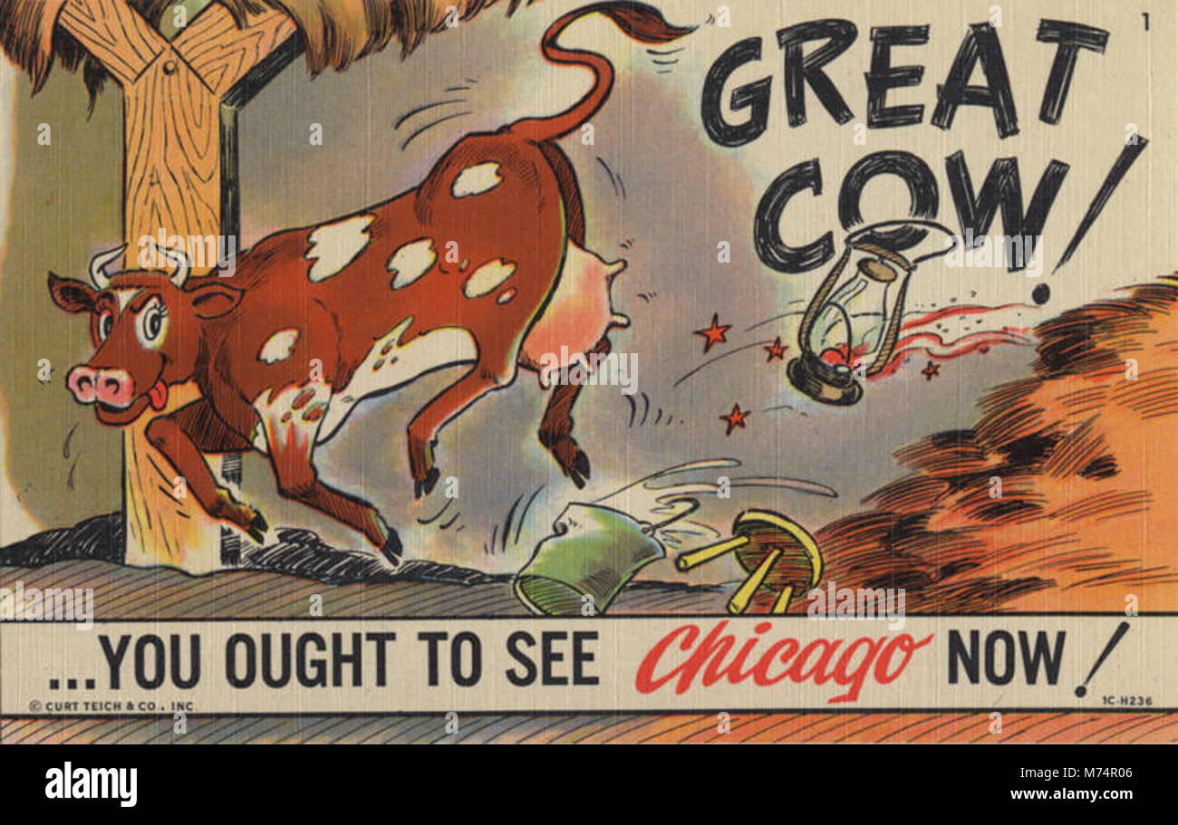 A photograph of a large cow, possibly featured for its impressive size ...