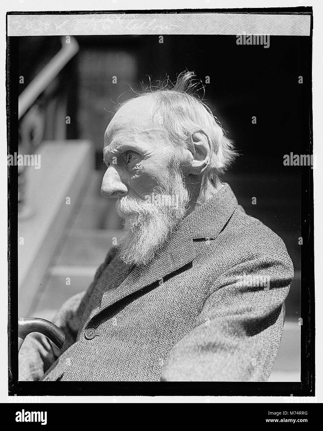 Pellow hi-res stock photography and images - Alamy