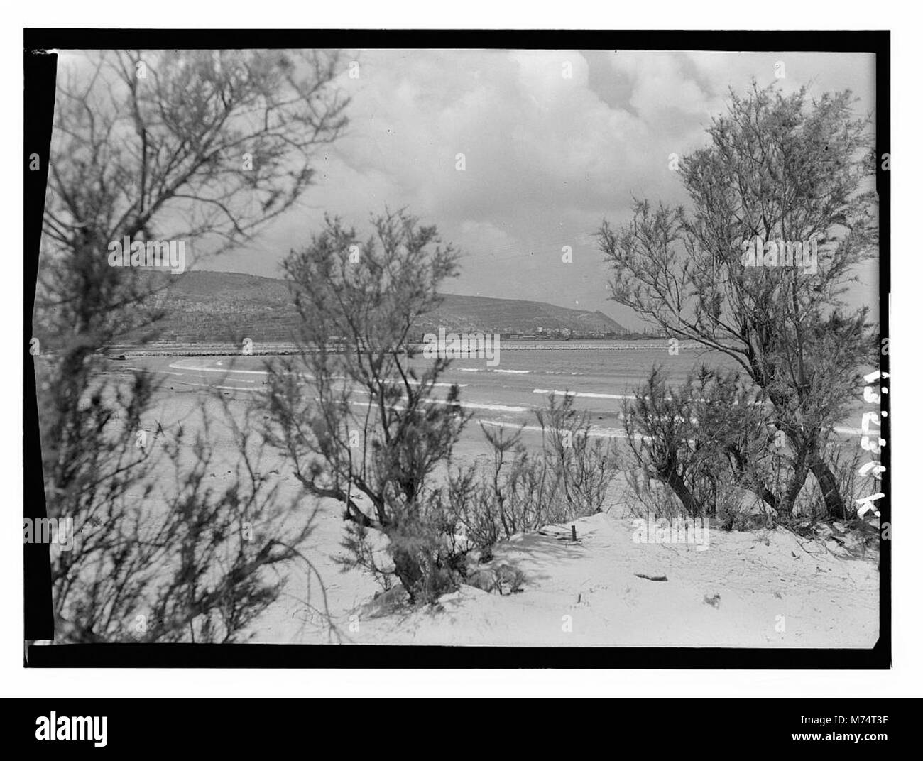 This photograph captures a scene from Haifa, a major port city in ...