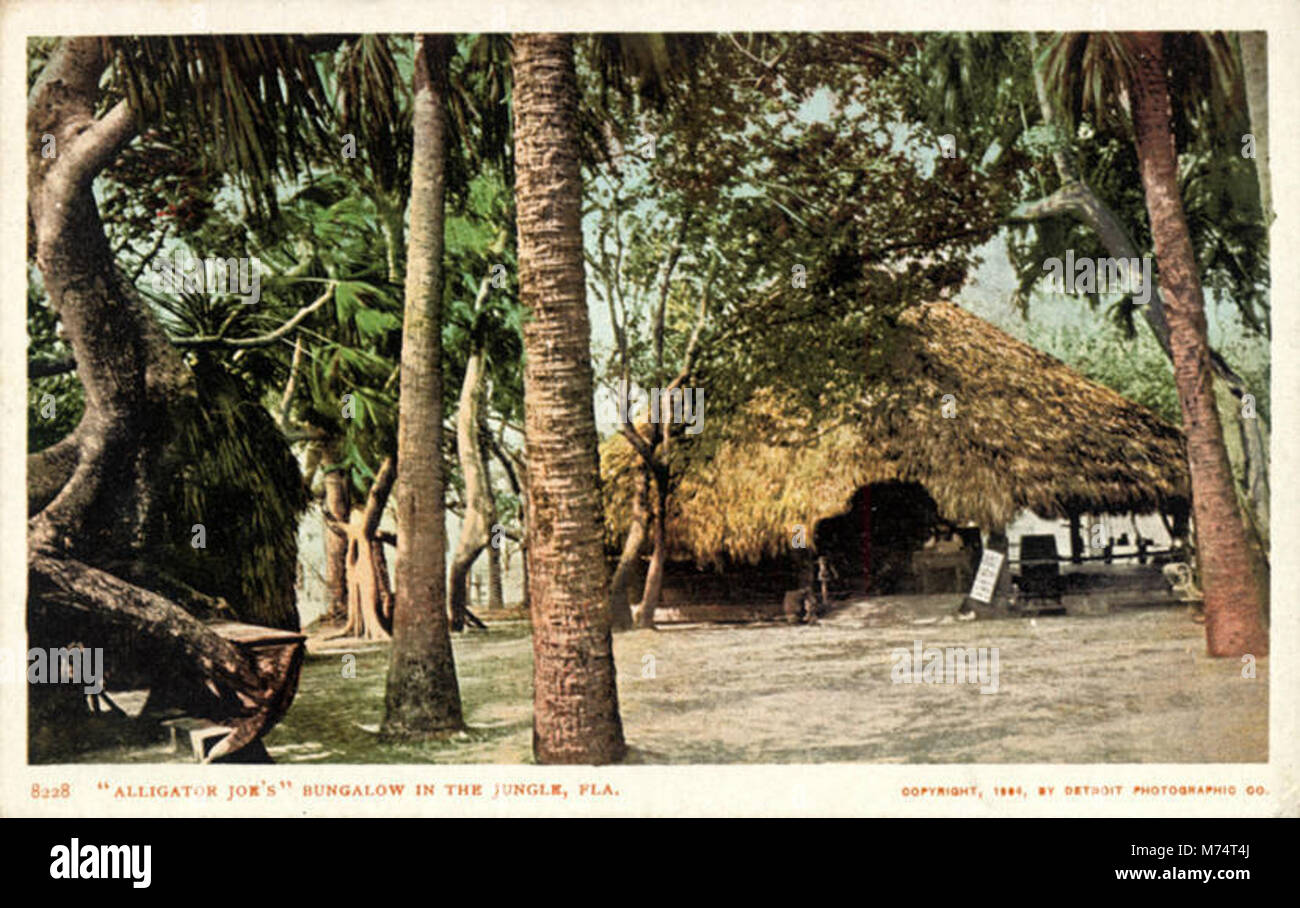 A historic image of Alligator Joe's Bungalow, located in the Florida ...