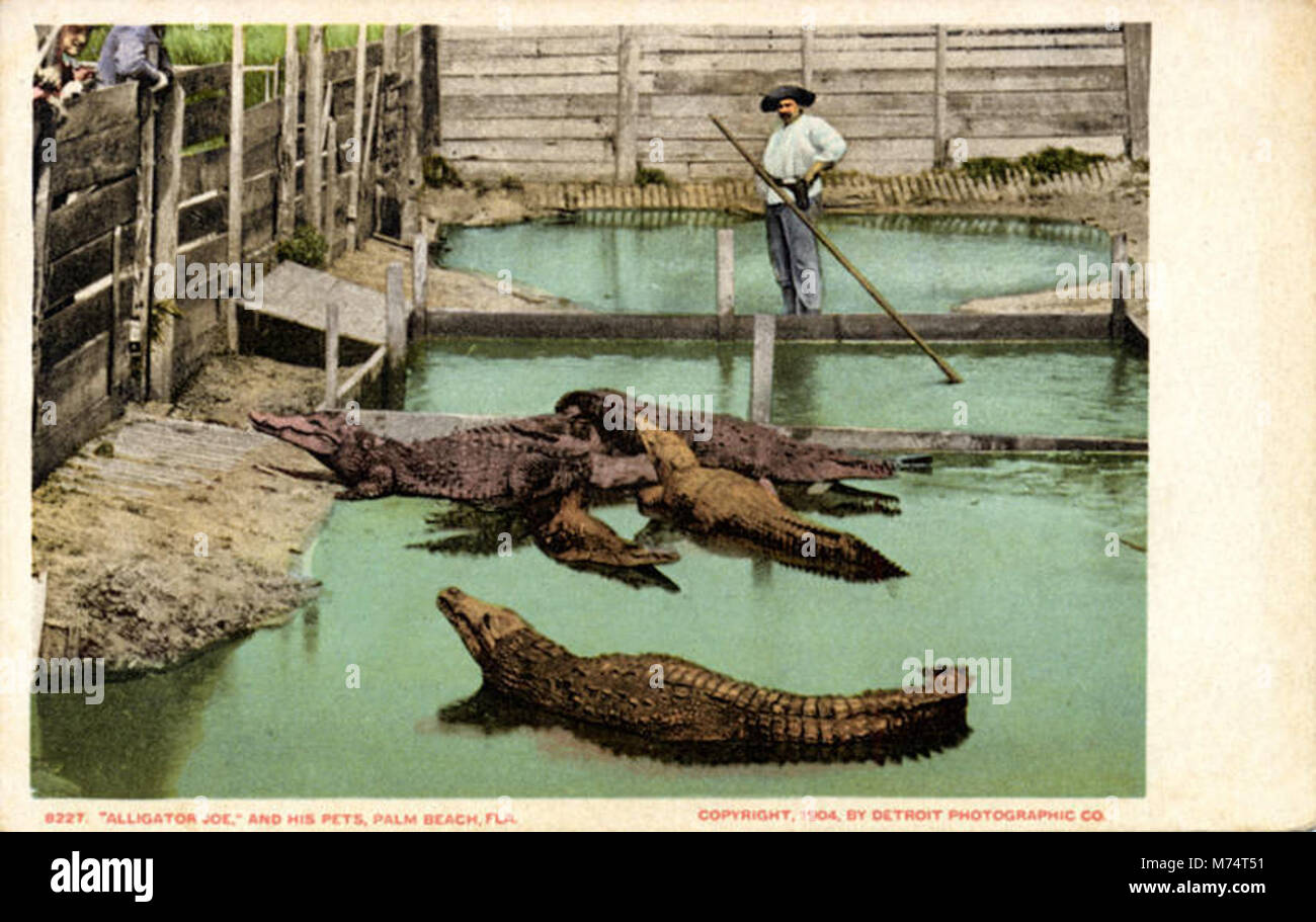A photograph of Alligator Joe in Palm Beach, Florida, surrounded by his ...