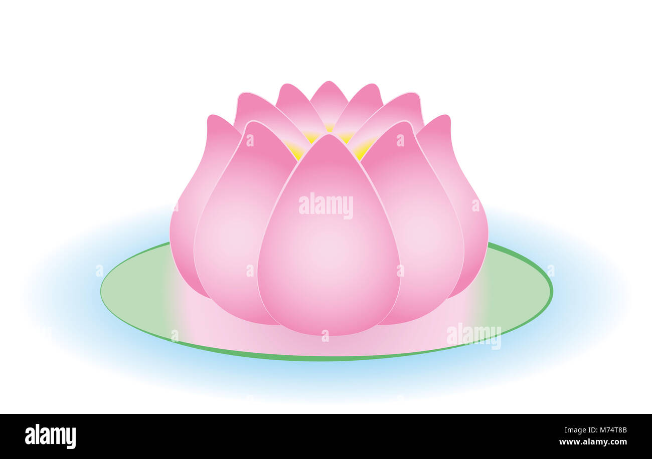 Water lily. Half opened pink feminine water symbol for tranquility ...