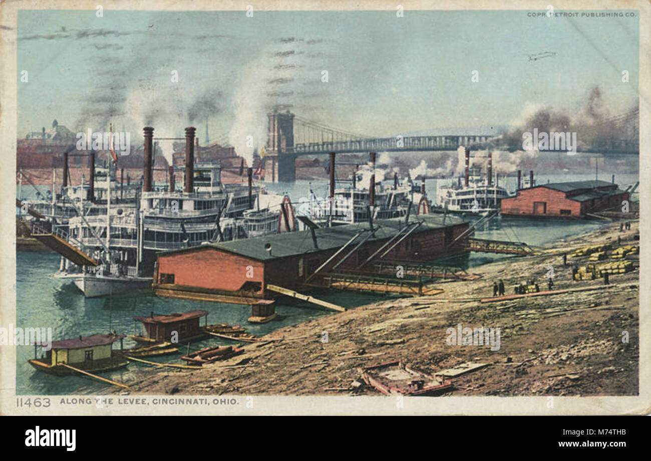 Photograph depicting a view along a river levee, showcasing the ...