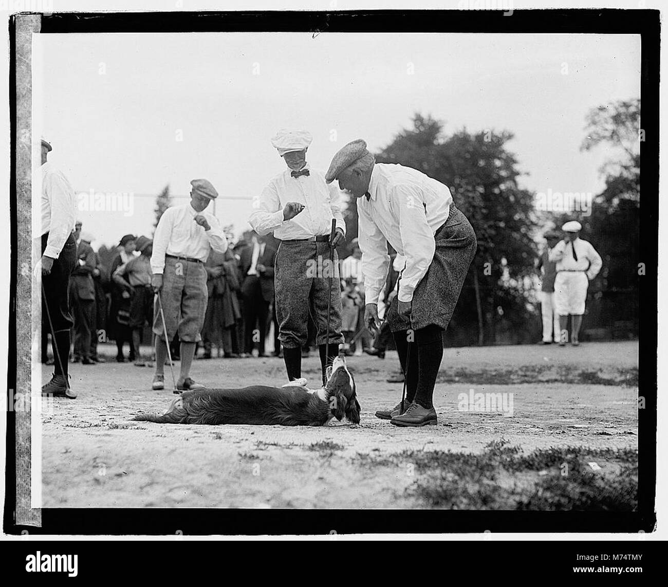 A photograph of President Warren G. Harding participating in the ...