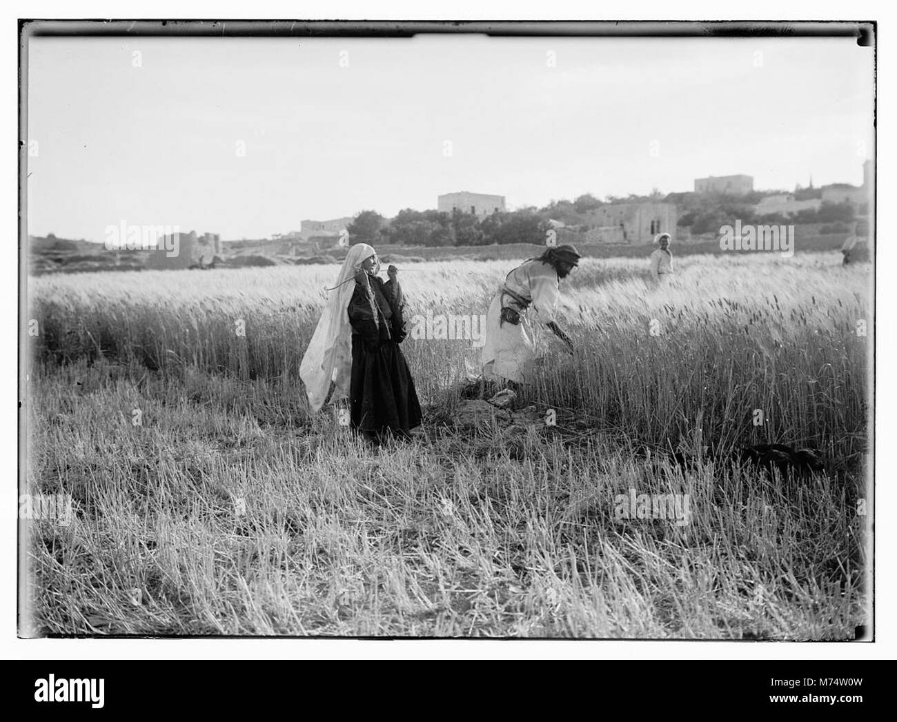 This illustration depicts scenes from the biblical story of Ruth and ...