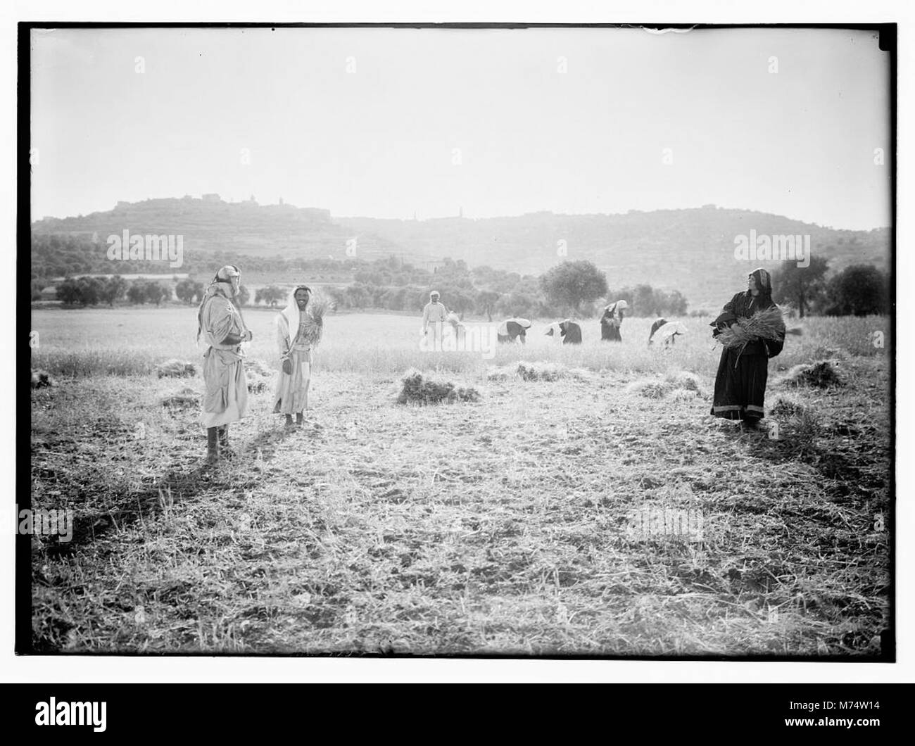The image depicts scenes from the biblical story of Ruth and Boaz ...