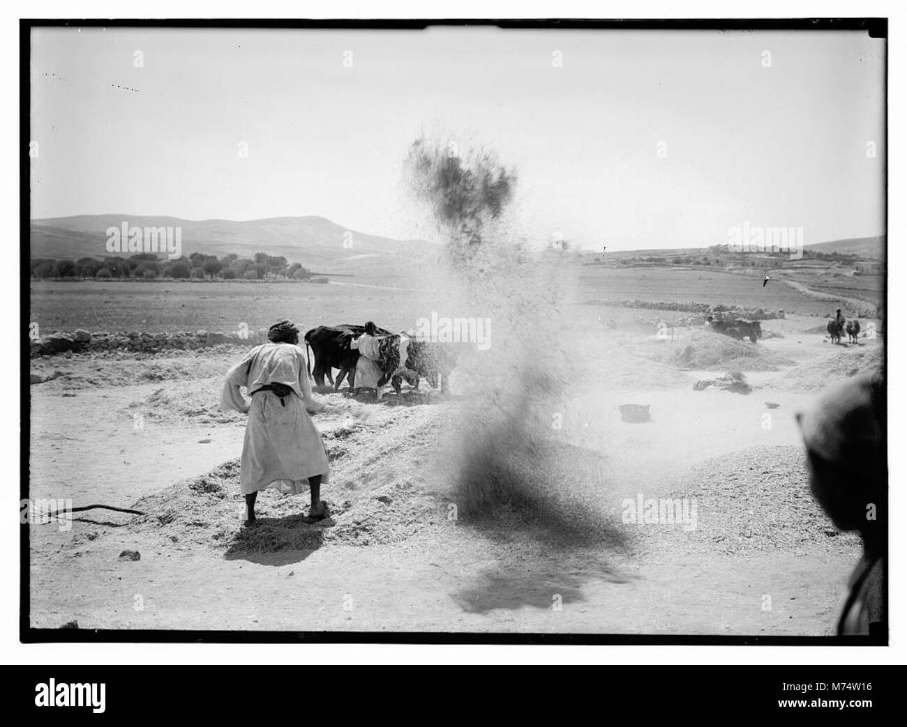 Illustrations of scenes from the biblical story of Ruth and Boaz ...