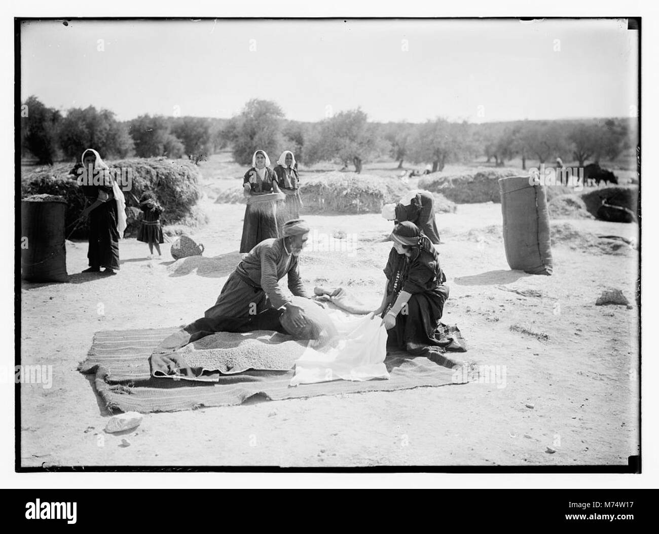 Scenes from the biblical story of Ruth and Boaz, depicting the harvest ...