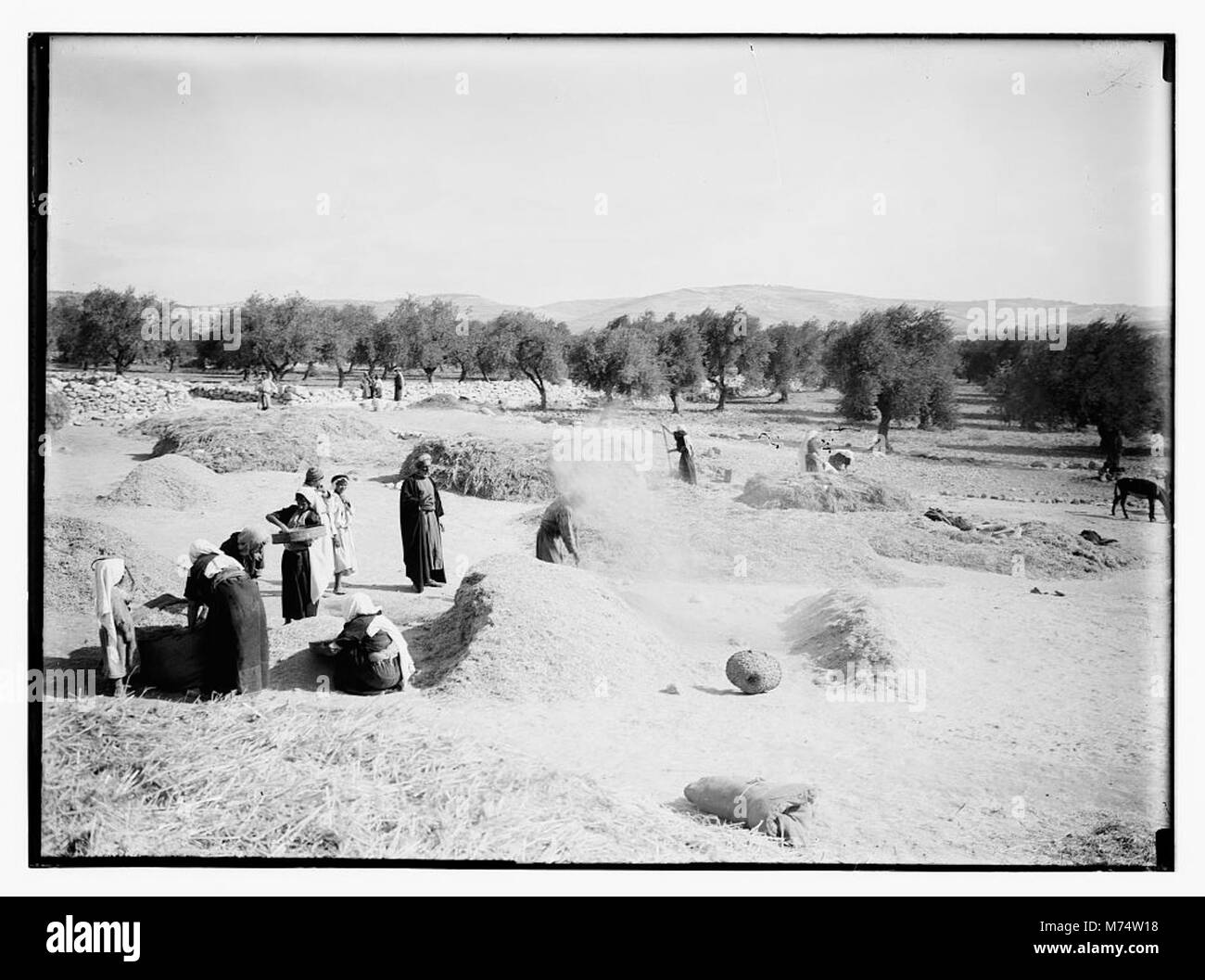 The biblical story of Ruth and Boaz is depicted through scenes of ...