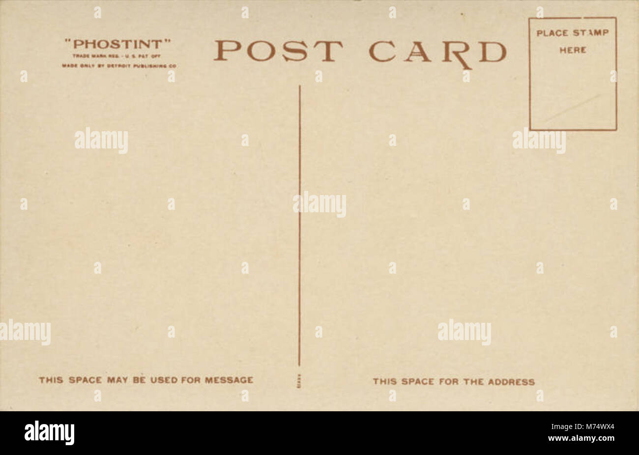 A scenic view of the Hidden Forest on Nantucket Island, showcasing the ...